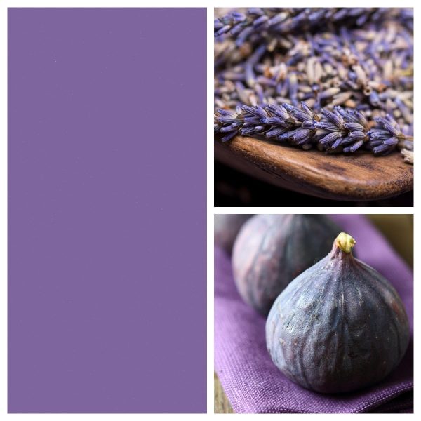 CMG Color of the Month - June 2019 | Panolam Surface Systems