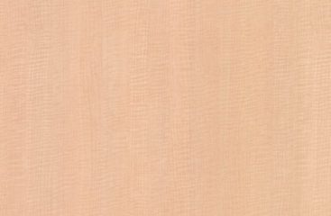 Champagne Sagawood | Panolam Surface Systems