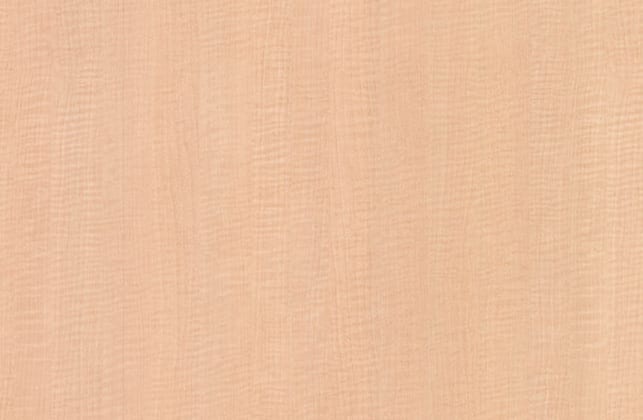 Champagne Sagawood | Panolam Surface Systems