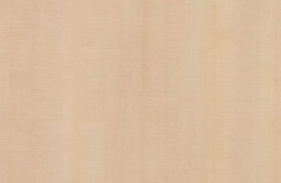 Fine Sycamore | Panolam Surface Systems