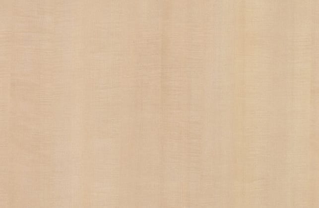 Fine Sycamore | Panolam Surface Systems