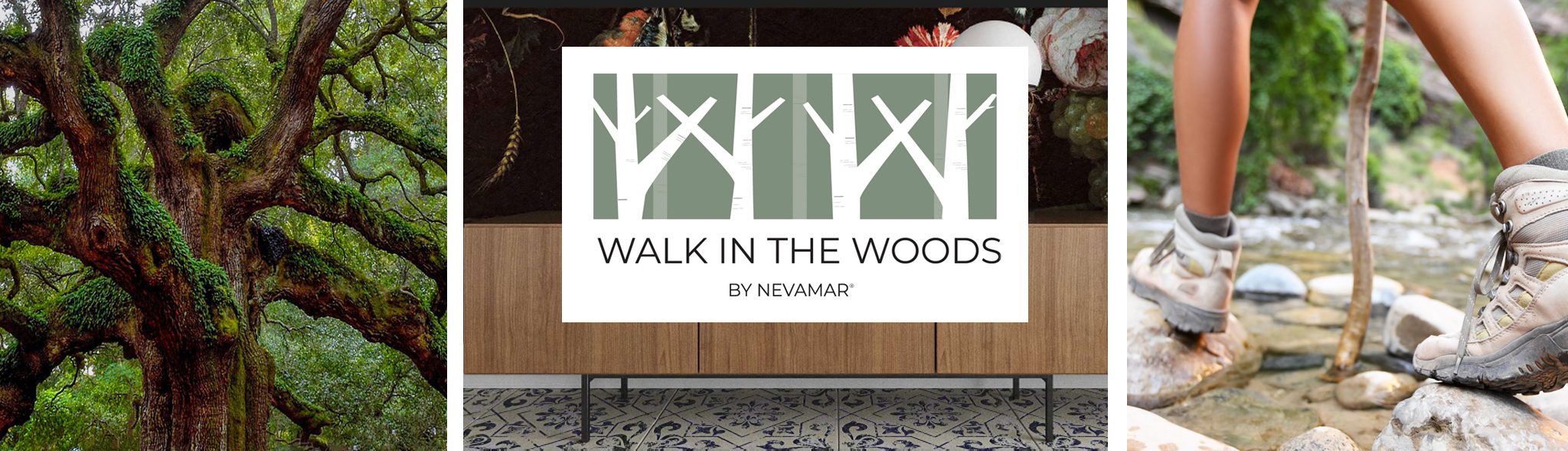 Walk in The Woods